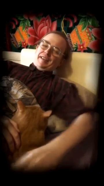 Ложись кись-кись