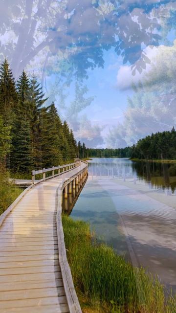 Атмосфера лета