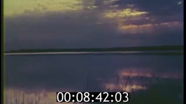 Памятник А.С. Пушкину (1961 год)