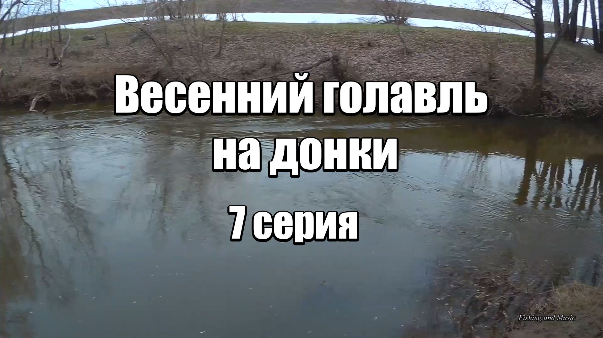 Весенний голавль на донки. 7 серия. Голавль на куриную печень с мешочком.