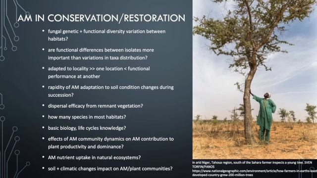 Урок 4.6 - Арбускулярные микоризные грибы (АМГ) в восстановлении экосистем