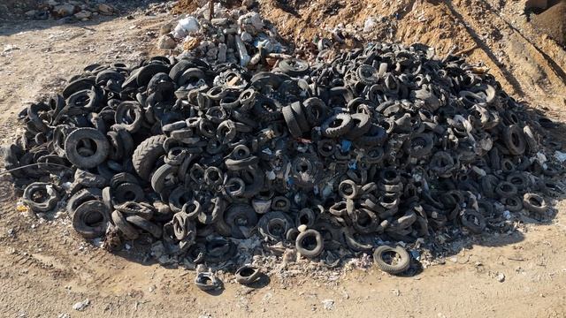 Экология_Episode