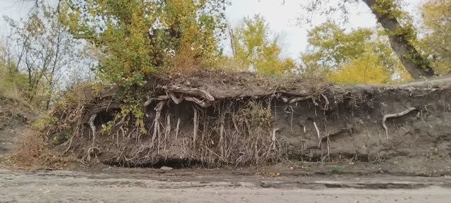 Где ловить Сазана на Северском Донце.Смотрим дно по сброшенной воде.Ждём лета.