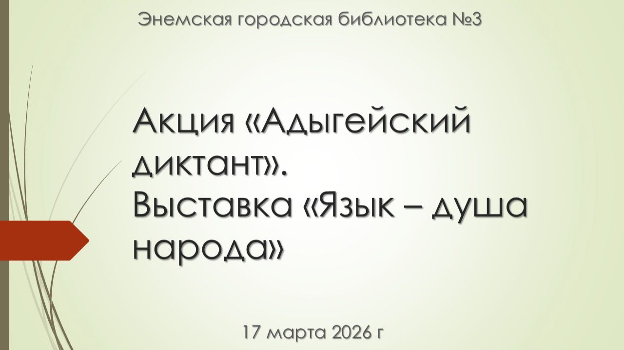 17 марта 2026 г. Акция «Адыгейский диктант». Выставка «Язык – душа народа». ЭГБ №3