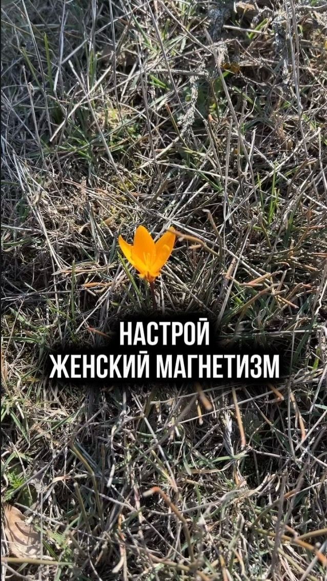 Настрой «Женский магнетизм»