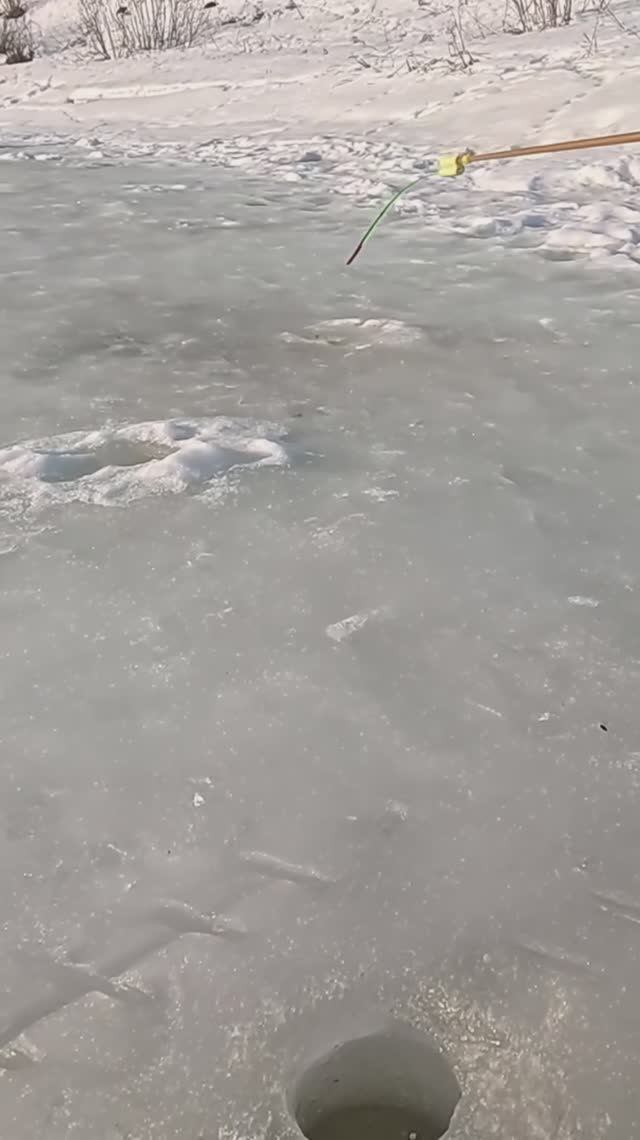 Поклевка мелкой уклейки