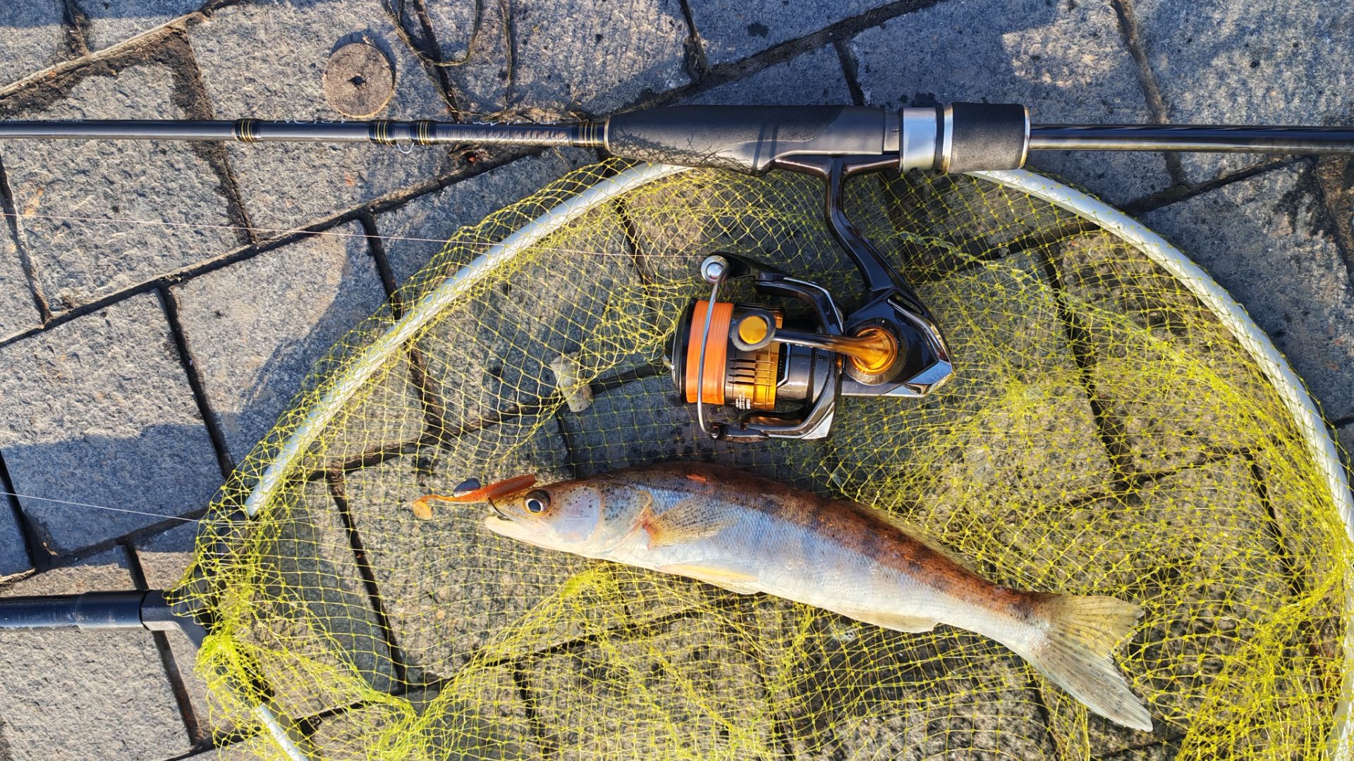 МР, набережная Шагала. Микро-джиг 16 марта 2026 года