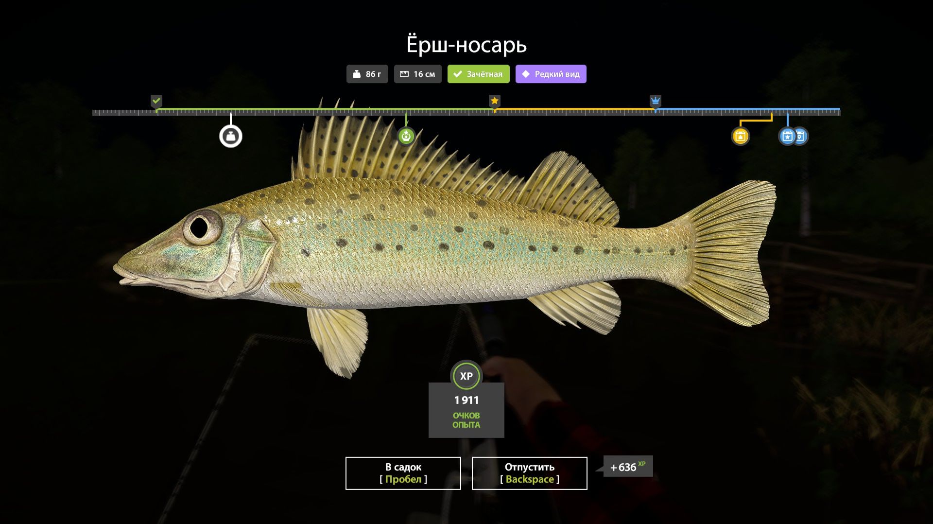 Играем в Russian Fishing 4 продолжаем ловить ерша-носаря,ерша,окуня,рака и другую рыбку на р.Вьюнок.
