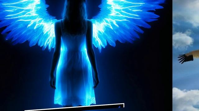 Крылами синими махнёт