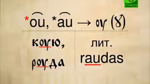3.1.4. Происхождение славянских гласных