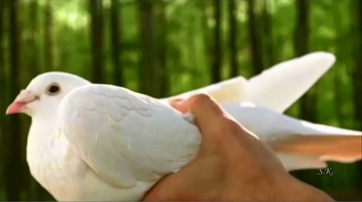 Наши В Логове Врага ✌️💪✌️