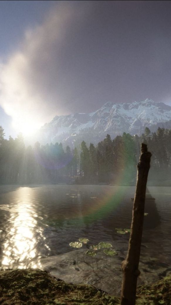 ФОРЕСТ(СТРОЙКА)