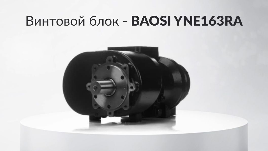 Винтовой блок BAOSI YNE163RA