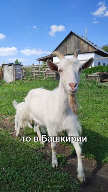 Лето в Башкирии