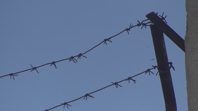 Задержаны два курьера мошенников, похитившие у смолян четыре миллиона рублей