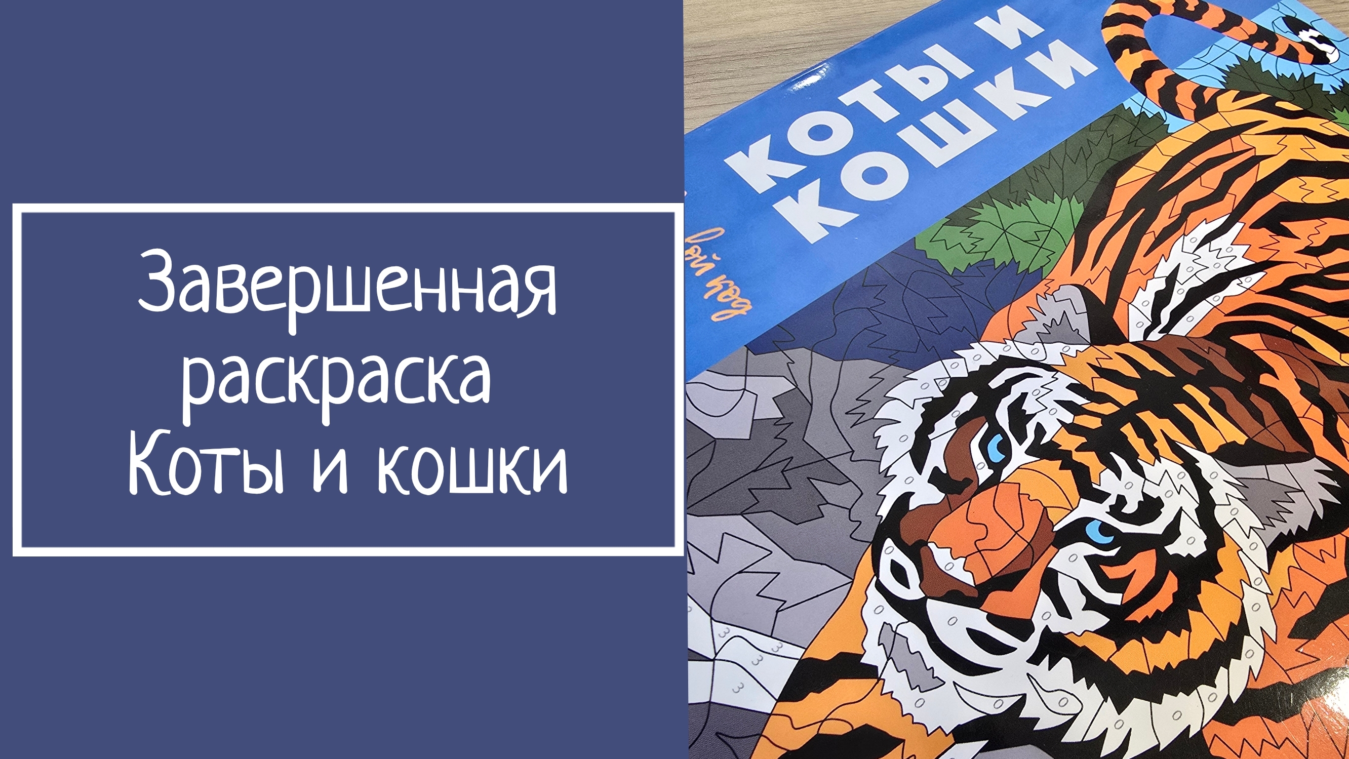 ЗАВЕРШЕННАЯ РАСКРАСКА "Коты и кошки"