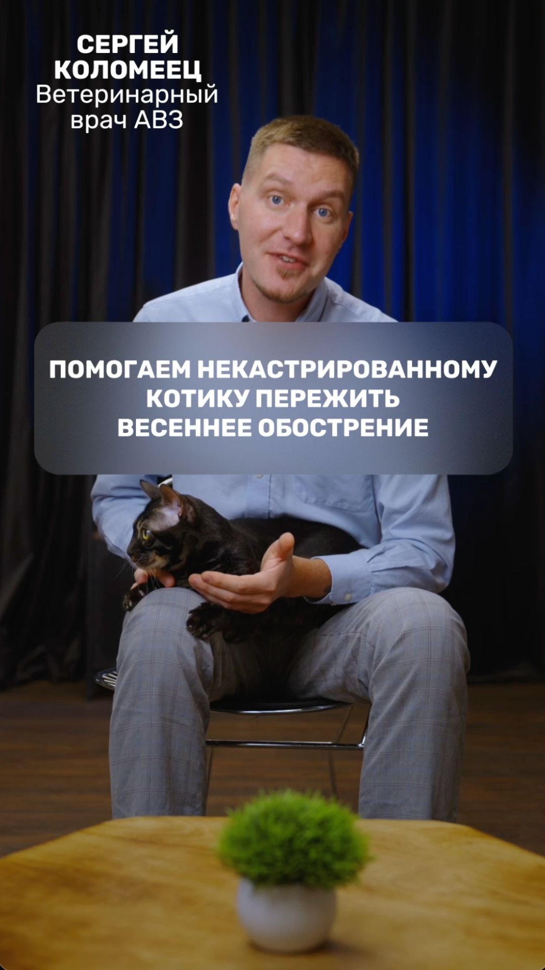 Помогаем некастрированному котику пережить весеннее обострение