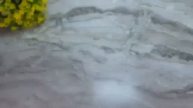 Готовим куриные бëдра 😋 Рецепт приготовления Вкусный рецепт Видео рецепты