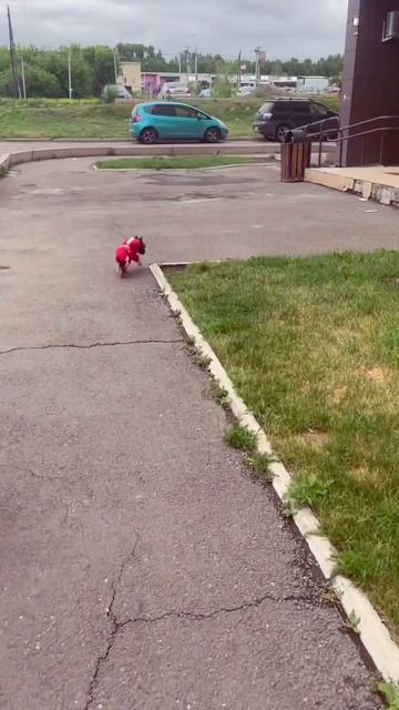 v14044g50000d5pqs8fog65tkf96isv0