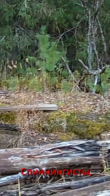 Осторожно мат! 🤬 Река, лодка — рыбы нет, зато на позитиве!