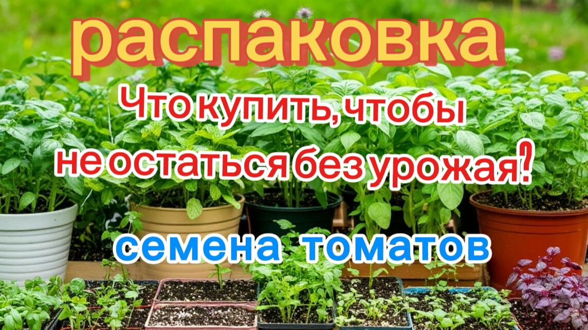 Мои покупки для рассады, семена томатов и полезные товары.