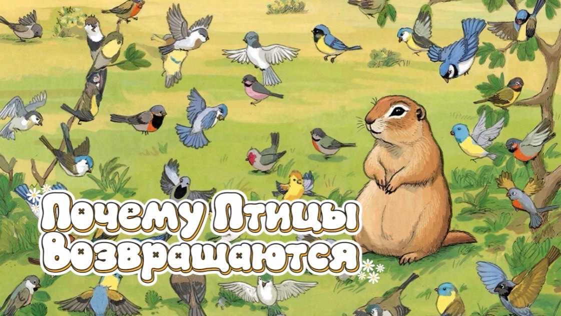 Почему птицы возвращаются? Сусля расскажет