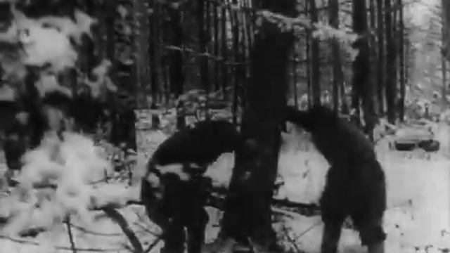 Бастион на Неве. 1962 год