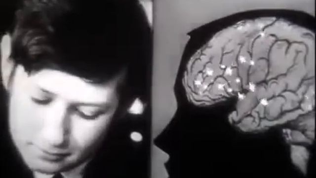 Труд и отдых. (1977) Леннаучфильм.