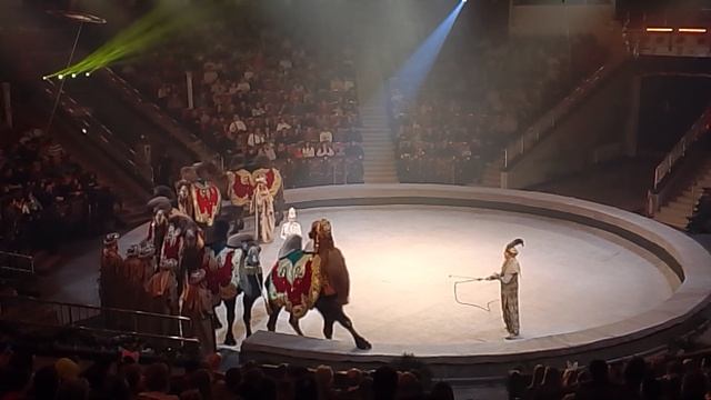 цирк верблюды - 1001 песенка