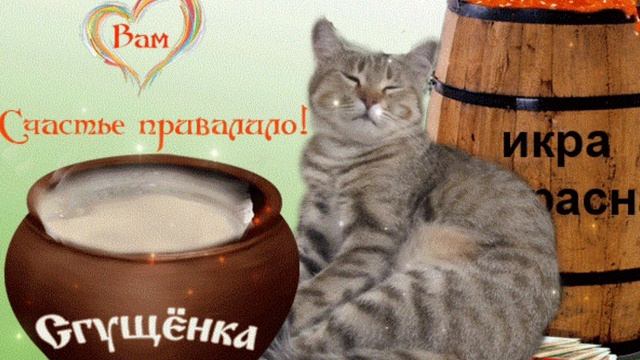 Видео открытка. Cо звездочками Вот оно счастье 2026. 514584845584