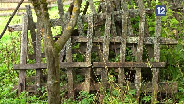 Уникальная Россия: Голоса Онего. Часть 1