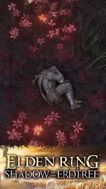 Среди цветов