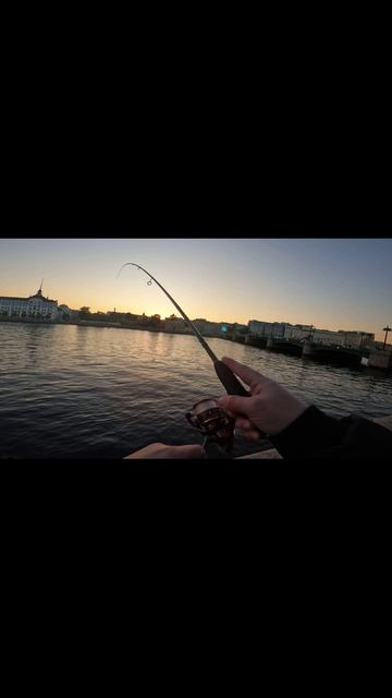 НЕНАСЫТНЫЙ ОКУНЬ 😁