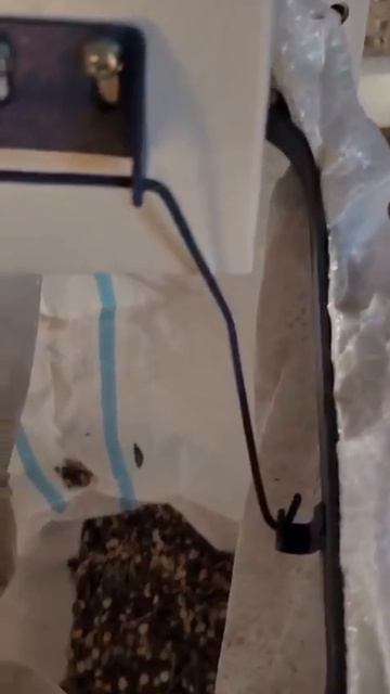 Обзор на самоходный зерноочистительный комплекс СЗК-15 на базе САД-15 🚜