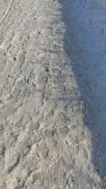 №1755 ул. Белинского. 15 марта 2026 г., 13:13:09 VID_20260315_131130364