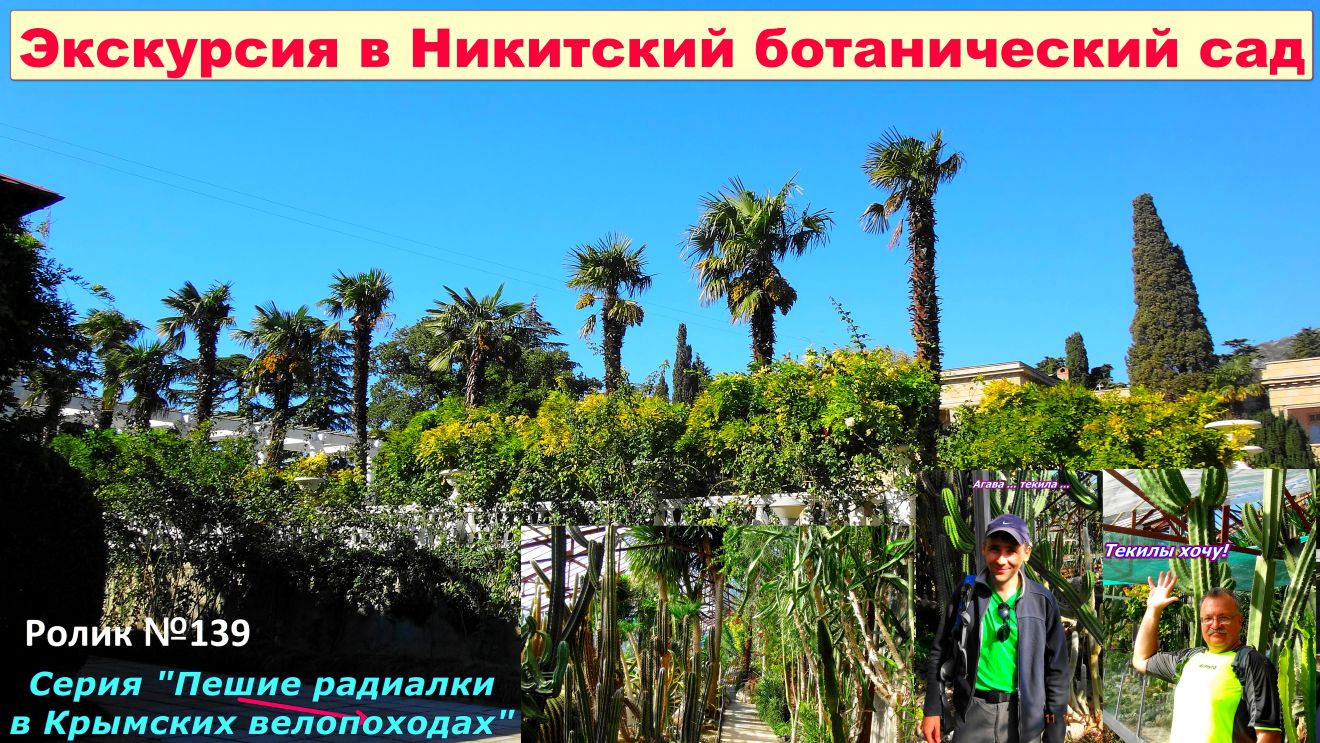 №658. Экскурсия в Никитский ботанический сад