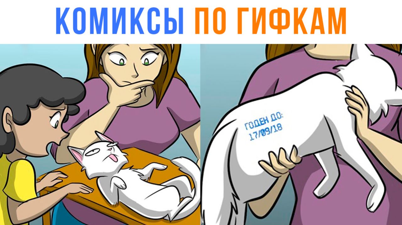 Комиксы по гифкам. СРОК ГОДНОСТИ КОТА)))
