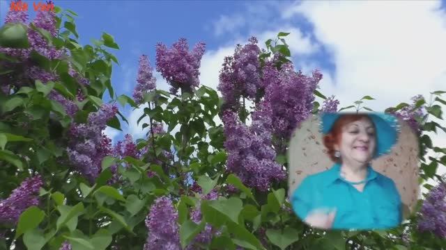 Надежда Гущина Я желаю счастья родным и друзьям