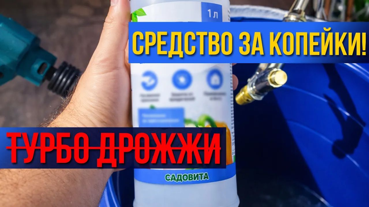 Копеечное средство из Аптеки, которое заменит TURBO дрожжи. Сахарная Брага за 3 дня!