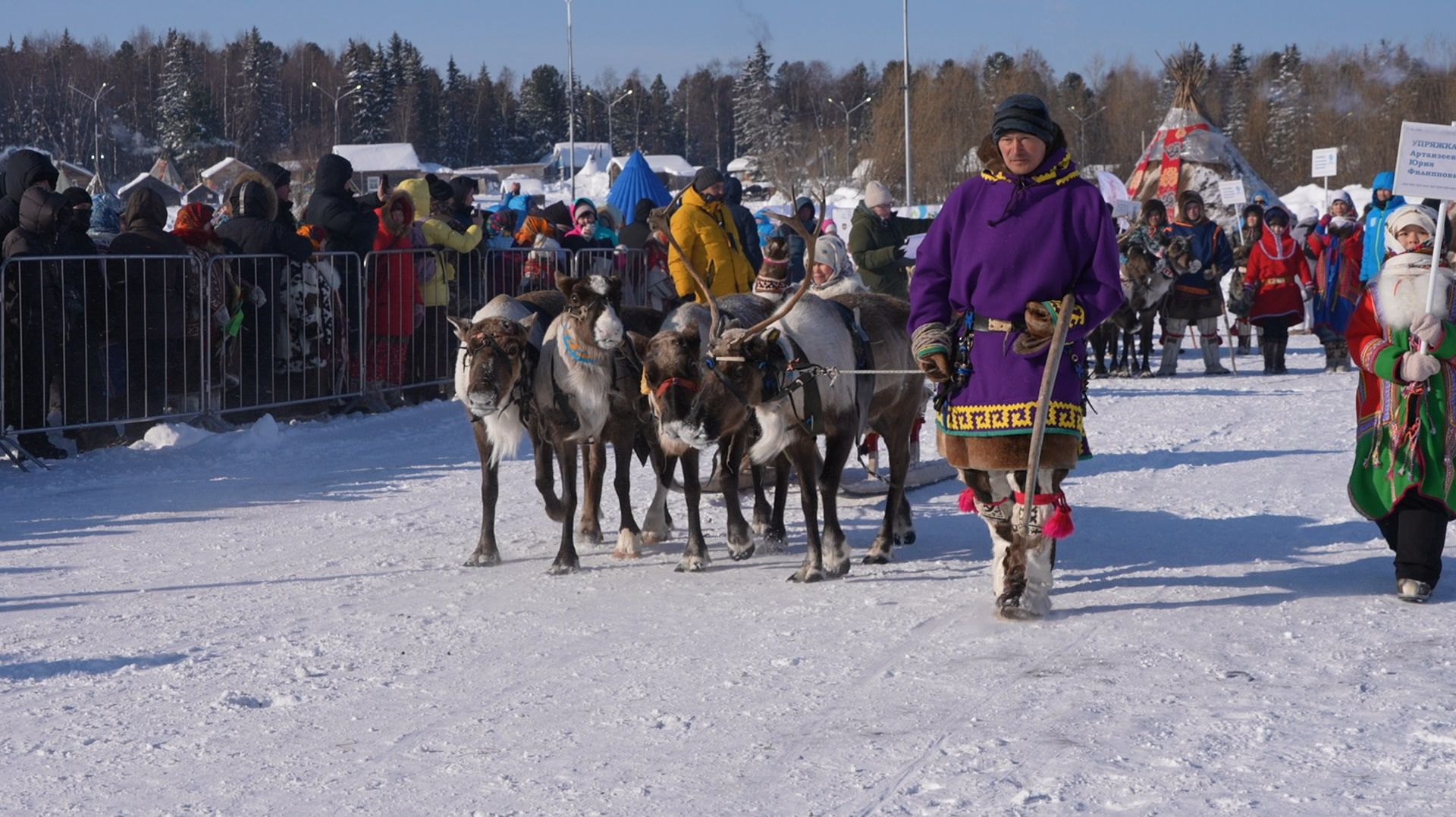 Северные состязания: праздник оленеводов в Шурышкарском районе | Тут султам