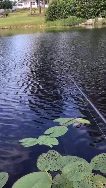 Ленобласть. Рыбалка на Вуоксе