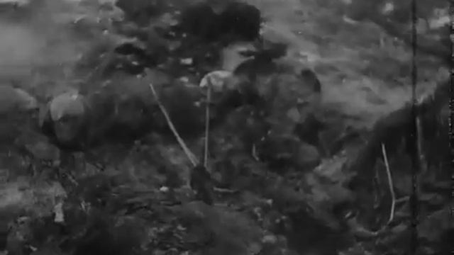 Кинодокументы о зверствах немецко фашистских захватчиков 1945 год.