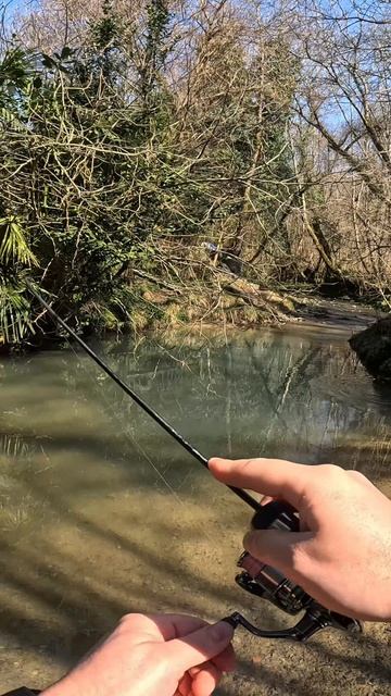 Весенний голавль на силикон. G-Tec Xross Sensetive XSS-47ST-Pro «EUPHORIA»