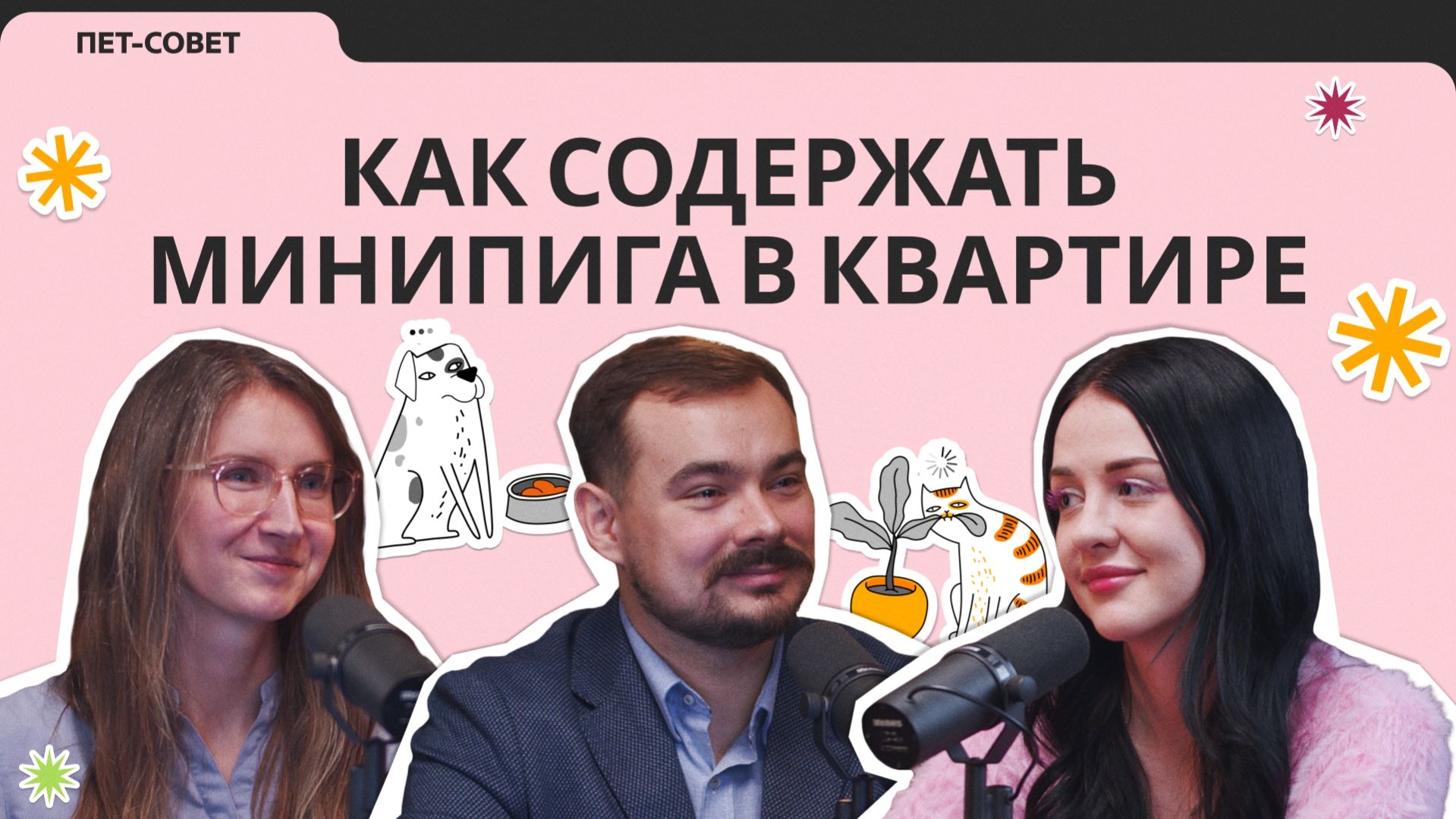 Как содержать минипига в квартире | Пет-совет