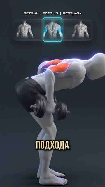 Комплекс упражнений на верх тела