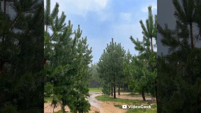 Не существует в мире непогоды