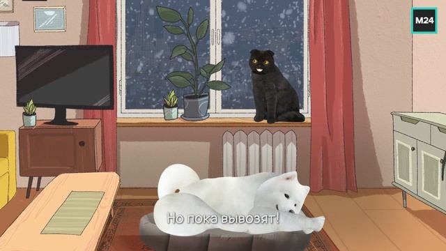 Весне дорога  | Кот Бублик