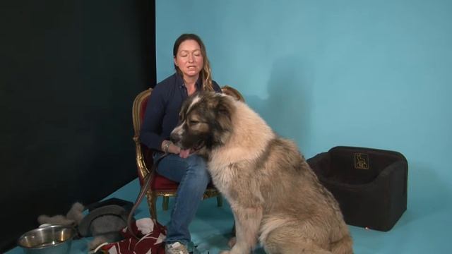 Надя и Цунами. Ответы на вопросы. Розыгрыш крутого приза!!!