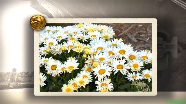 Alexander Karshkov - Prologue