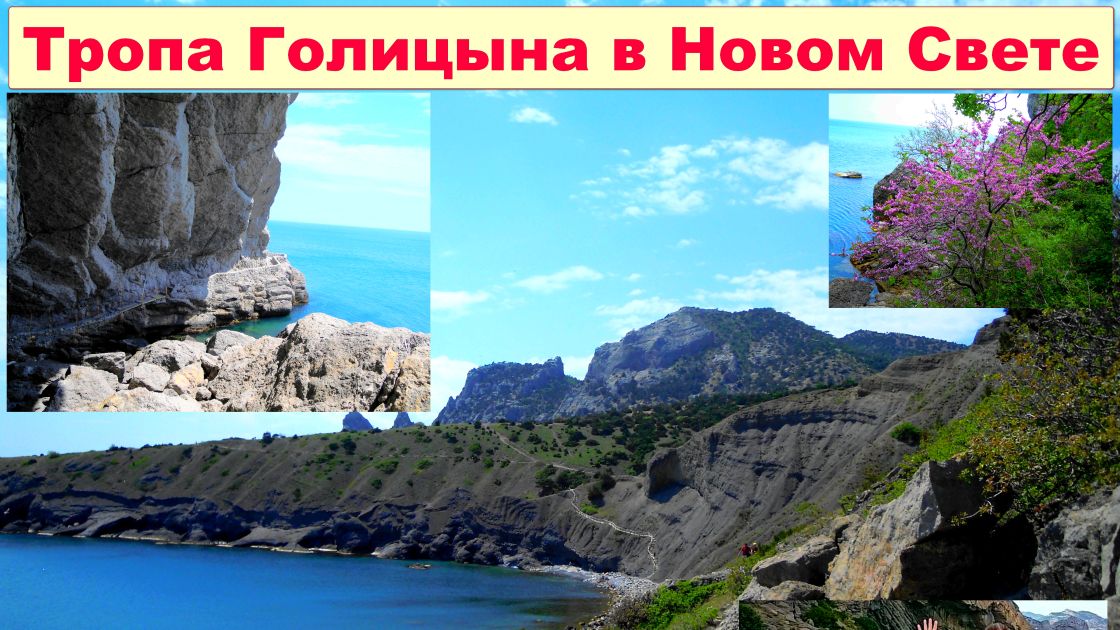 №661. По тропе Голицына в Новом Свете